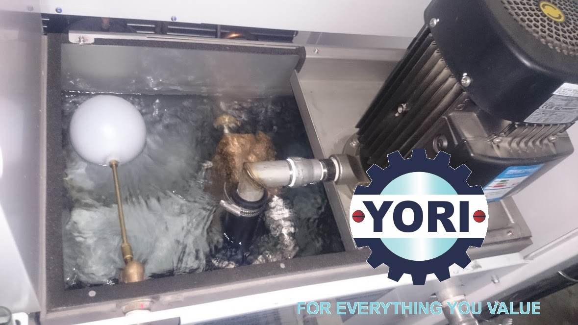 Kido Factory – Tây Bắc Củ Chi IP